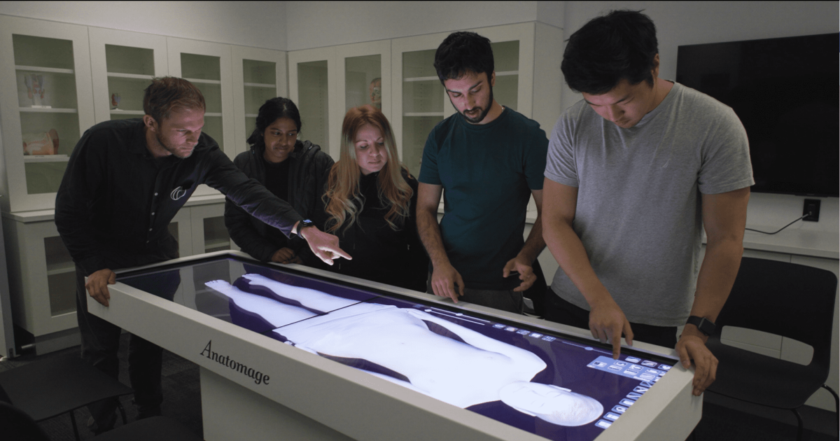 Accrediting Australian physiotherapy courses • Australian Physiotherapy ...